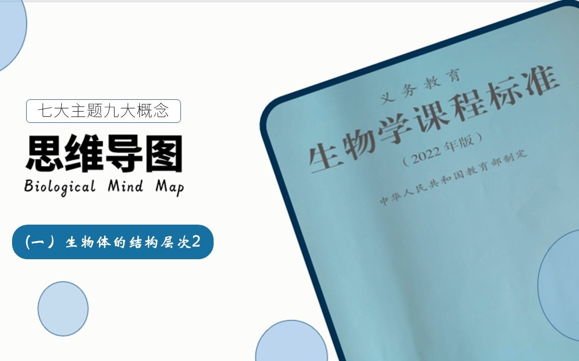 初中生物主题思维导图--生物体的结构层次2