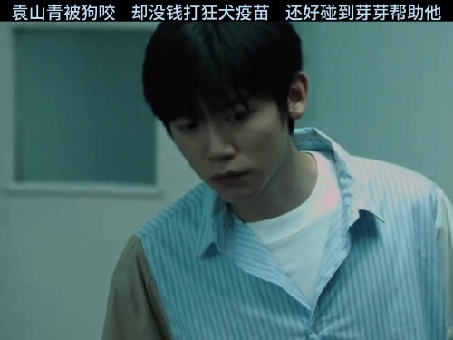 迎风的青春:袁山青被狗咬,却没钱打狂犬疫苗,还好碰到了程芽芽