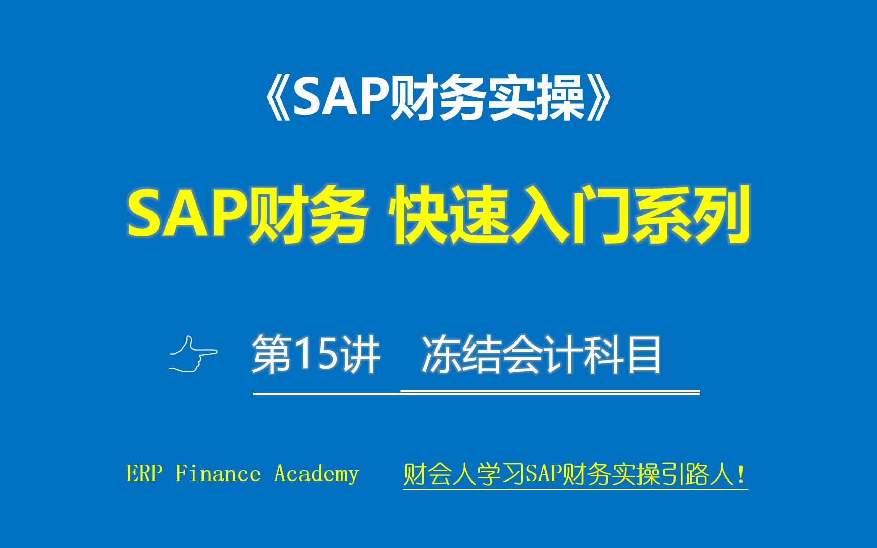 SAP财务实操/SAP软件/SAP入门/ 第15讲 冻结会计科目