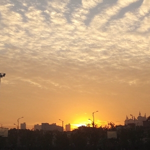 隔壁村的小壮男 