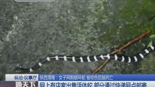 这种宠物不能养!女子网购银环蛇 被咬伤后脑死亡