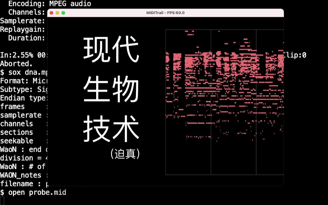 [WaoN] 基因探针的制备