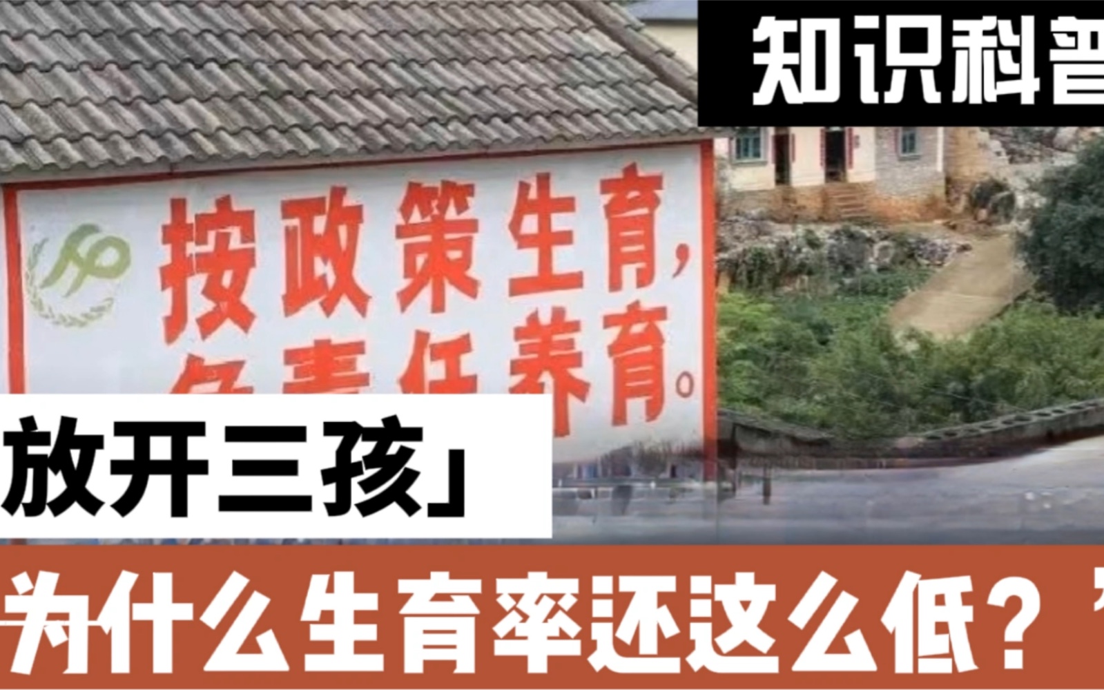 放开三孩,生育率为什么还这么低?