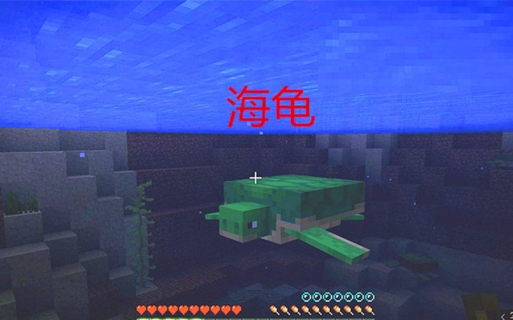 我的世界Python版——小海龟历险记02 前进和后退