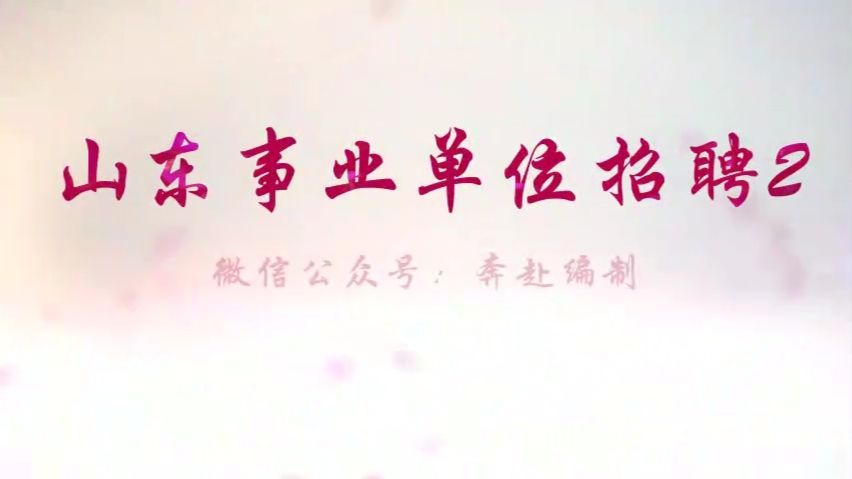 山东省事业单位招聘信息2
