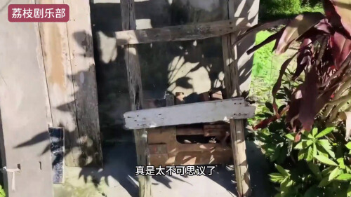 真是高手在民间,小伙竟然纯手工修复废旧管螺纹机