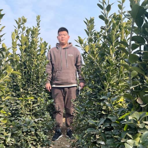 洛阳雅淇诺园林 