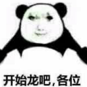 脑子不太好使的苏 