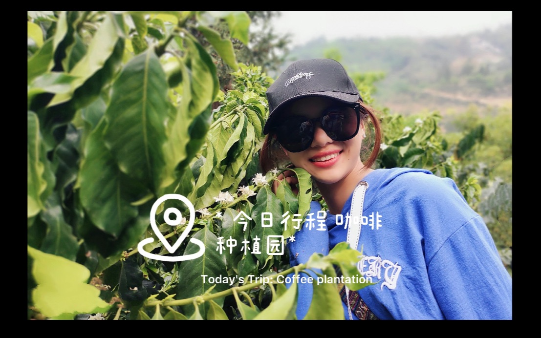 【云南咖啡种植园义工】咖啡师在保山种植园的咖农vlog