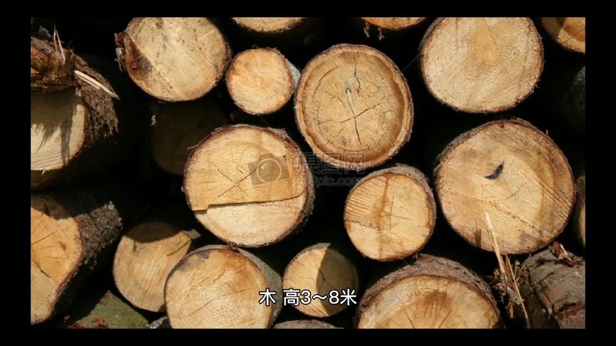 宣传中医传统文化