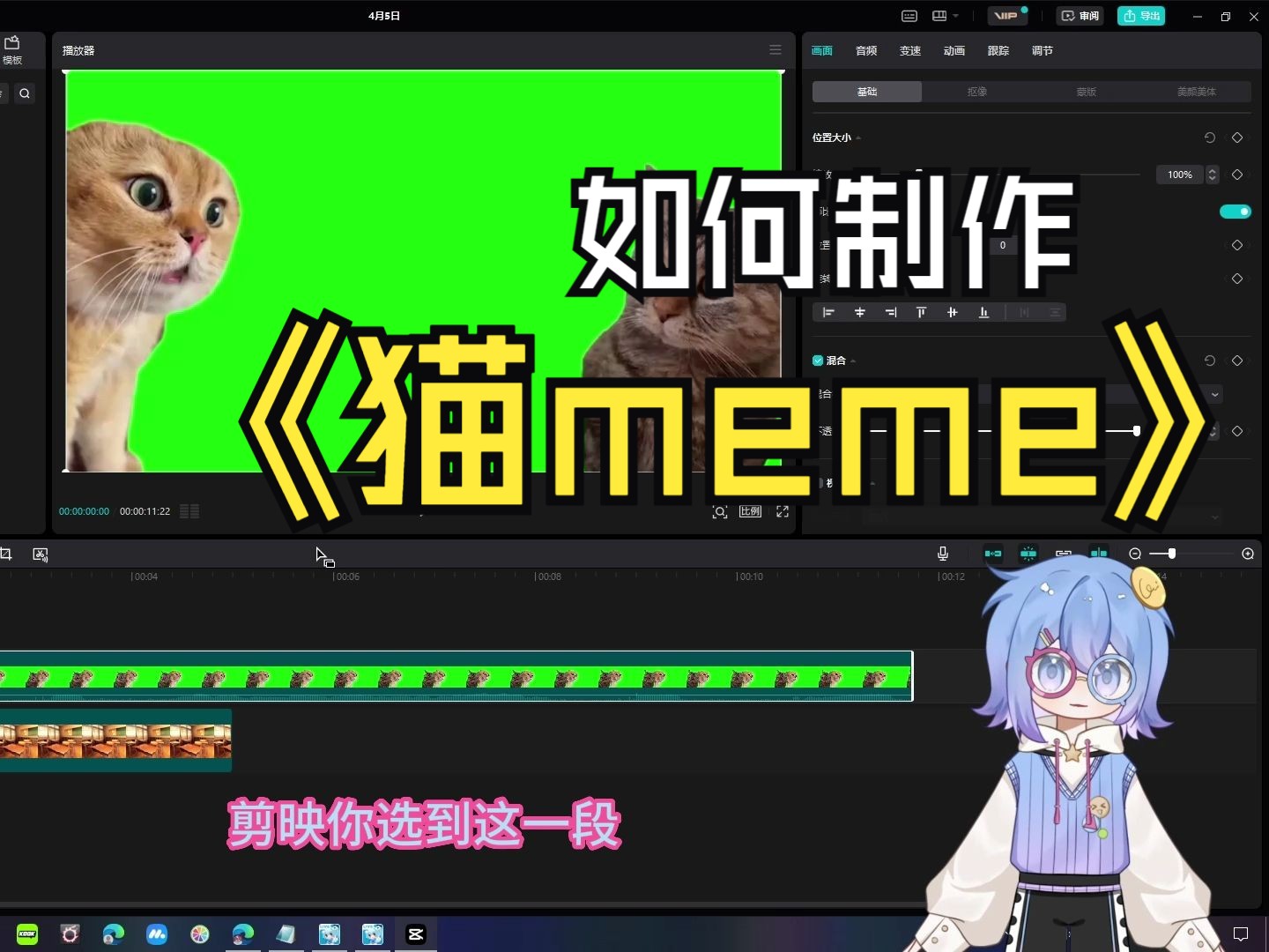 【琪子】我流猫meme视频制作保姆级教程。