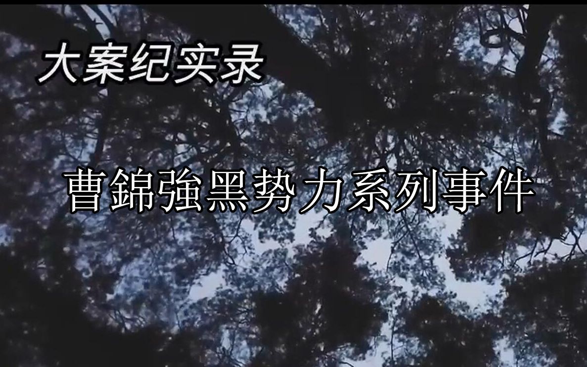 【大案纪实】曹錦強黑势力系列事件