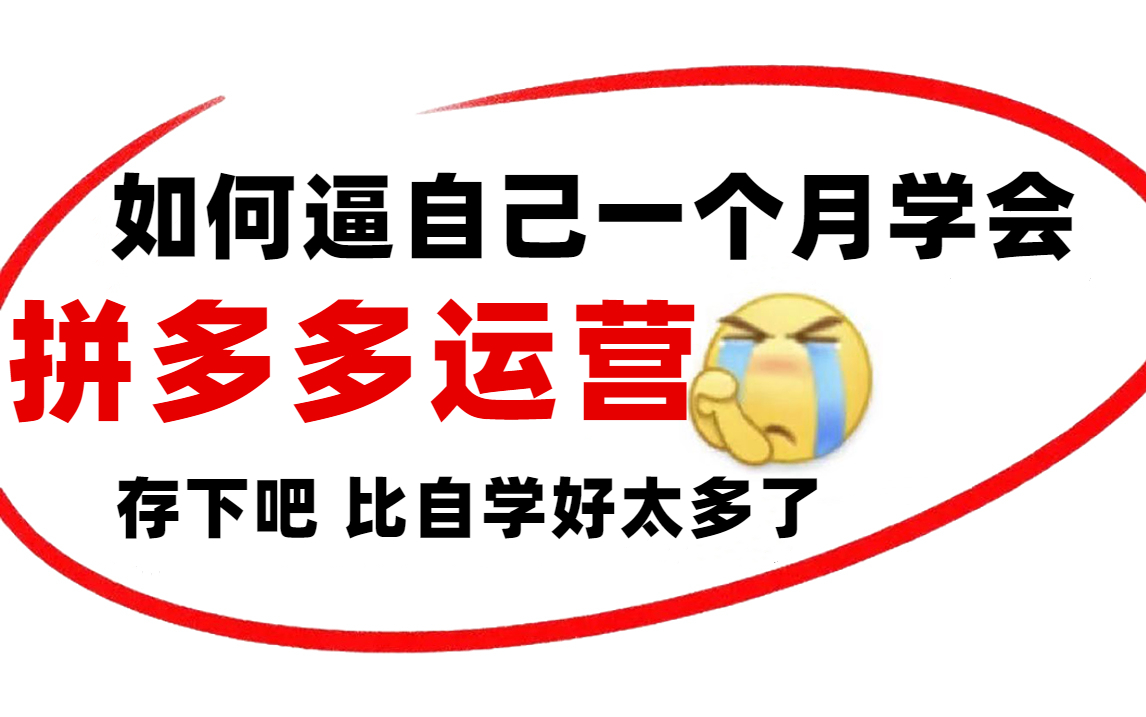 拼多多新手商家无货源、流量、访客与订单操作,学习【拼多多运营...