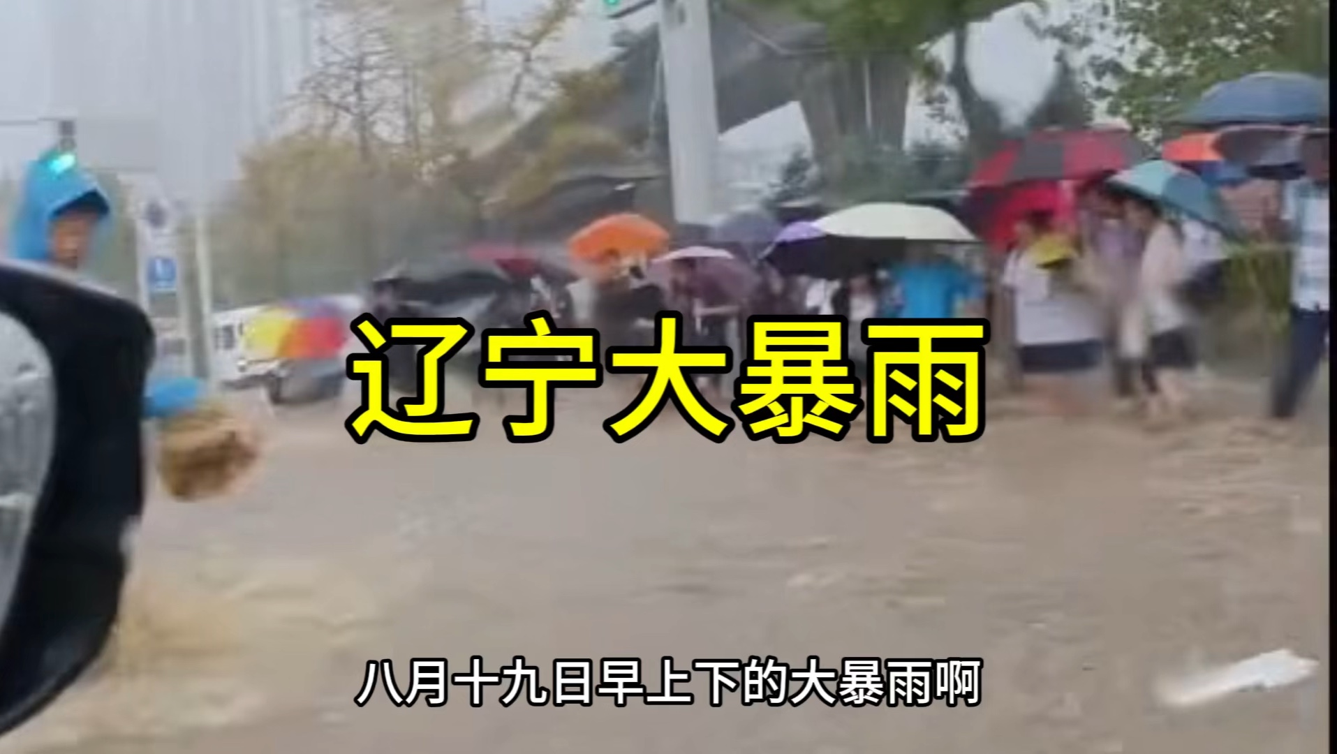 辽宁大连遭遇大暴雨,上班路上的市民卷起裤脚,水都涨到膝盖了