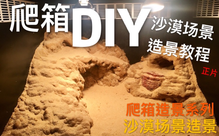 ...场景造景教学(正片)从一个普通的箱子变成一个场景箱,适合很多生活...