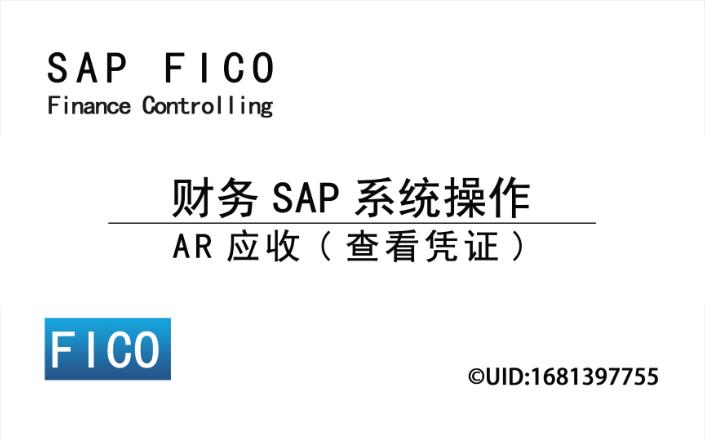 财务SAP系统操作之AR应收(查看凭证)