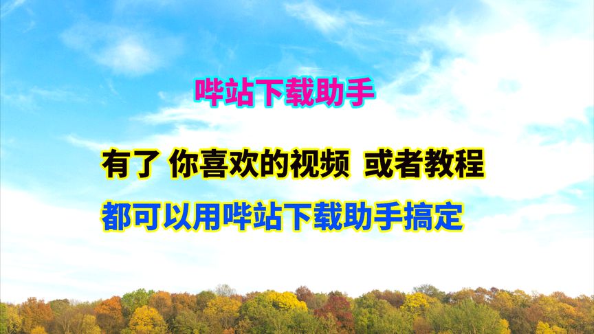 哔站下载工具 方便 快捷 很实用的一个工具