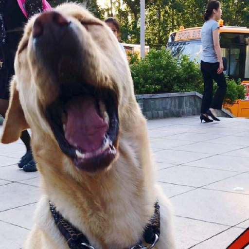 谁还没个童年呢 