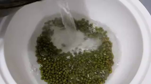 绿豆芽生长过程图片七天:绿豆芽怎么生的视频教程