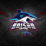 白鲨电子竞技俱乐部 