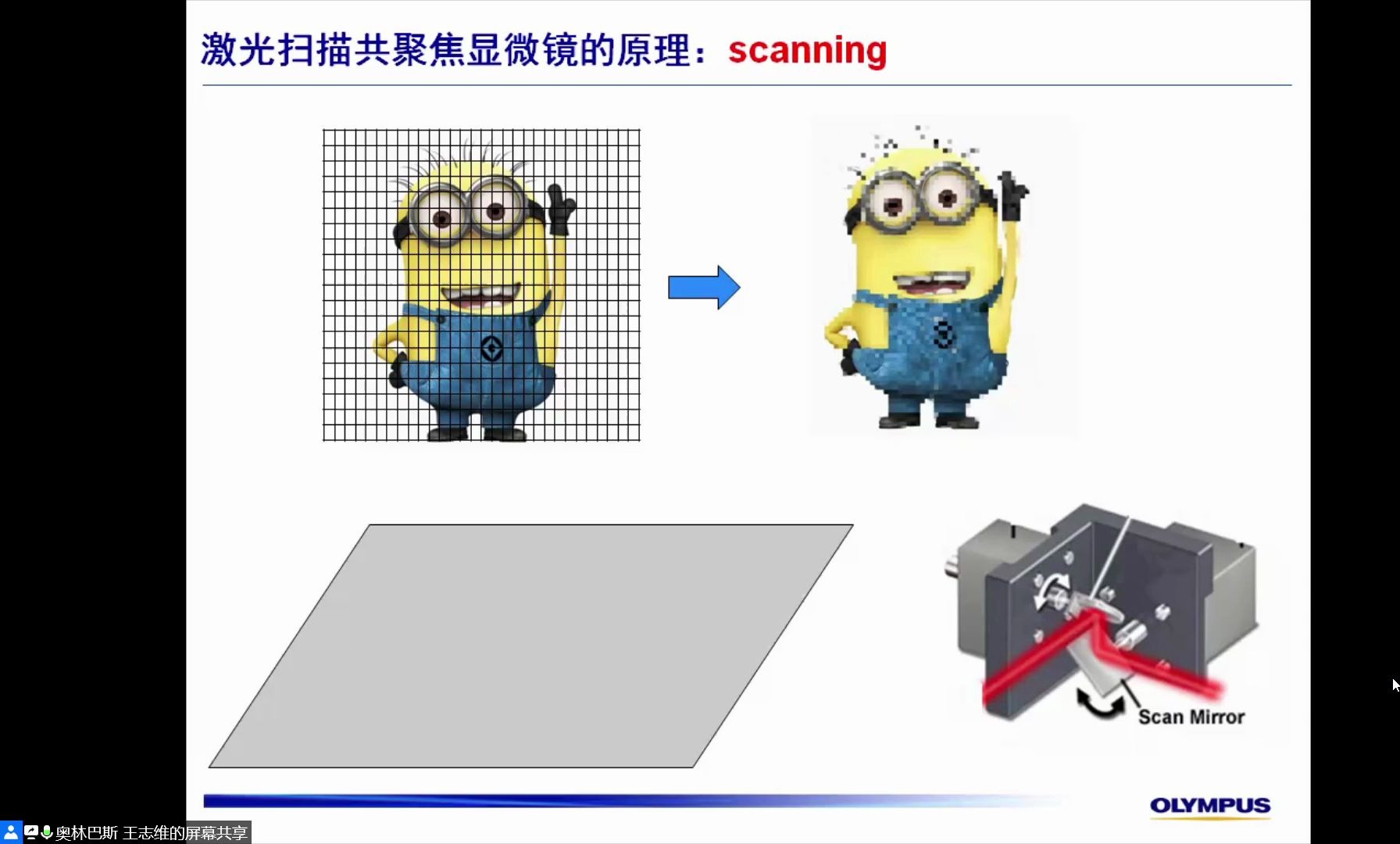 双光子显微镜原理及应用实例