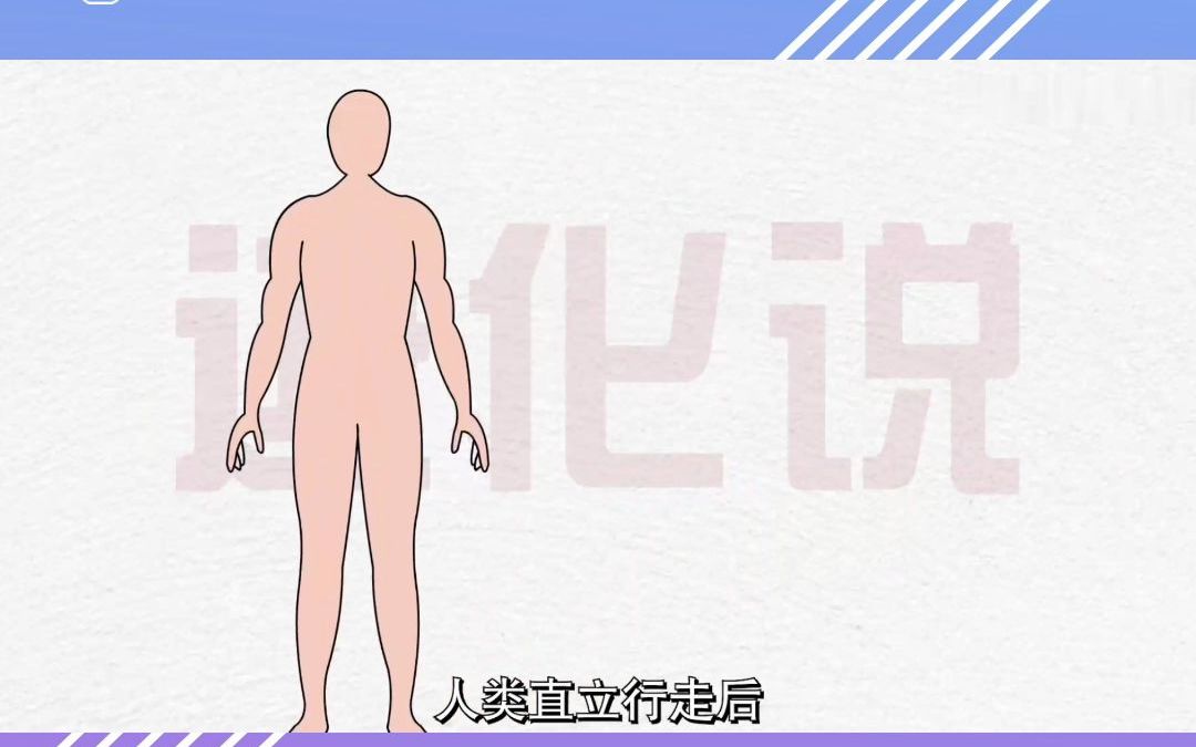 痔疮到底是一种什么样的存在?