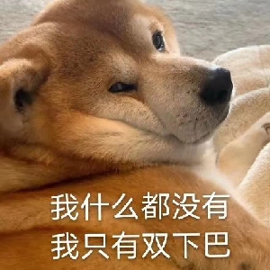 赵精彩PRO 
