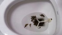 防污水飞溅坐便器(茶叶纸)