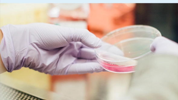 口腔器材和设备名词术语 器械 YY 91053-1999 医疗器械检测中心医疗...