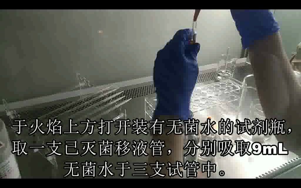 微生物实验基本操作-梯度稀释+倾倒接种
