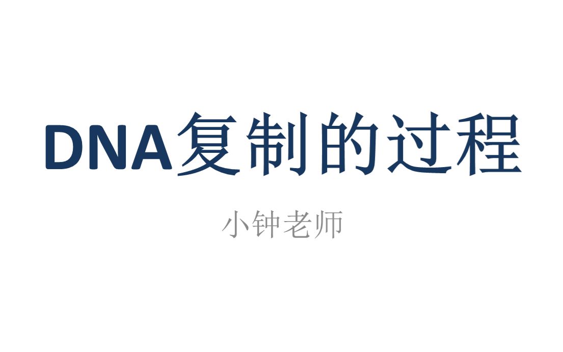 DNA复制的过程
