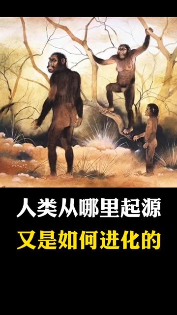 探究人类的起源与发展演化历程