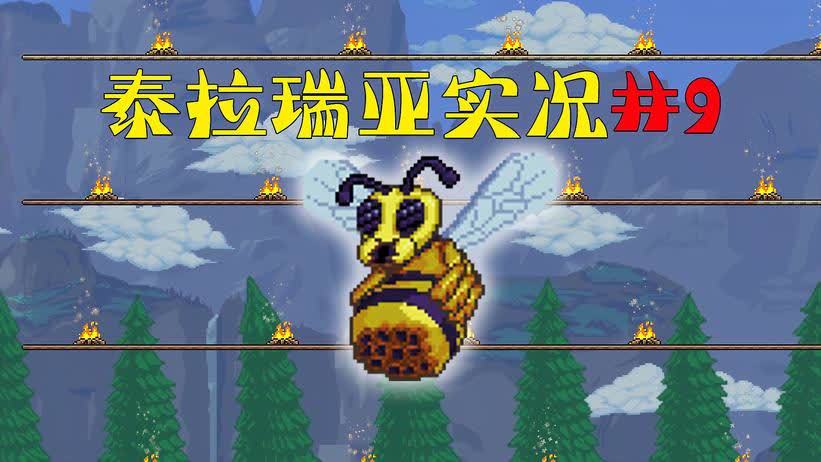 .泰拉瑞亚实况9:丛林三.