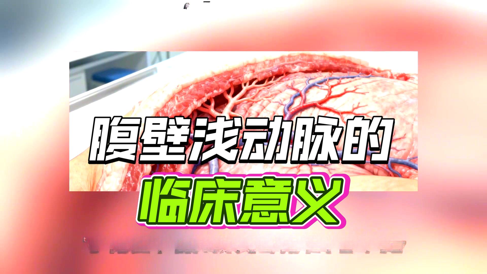 腹壁浅动脉解剖与临床应用