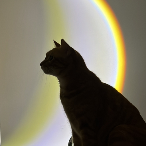 熊猫不吃鱼摆摆 