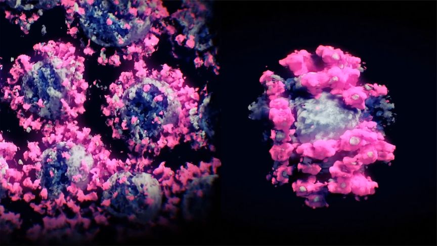 新冠病毒究竟长什么样?首个3D图像曝光:像一颗残败不堪的星球