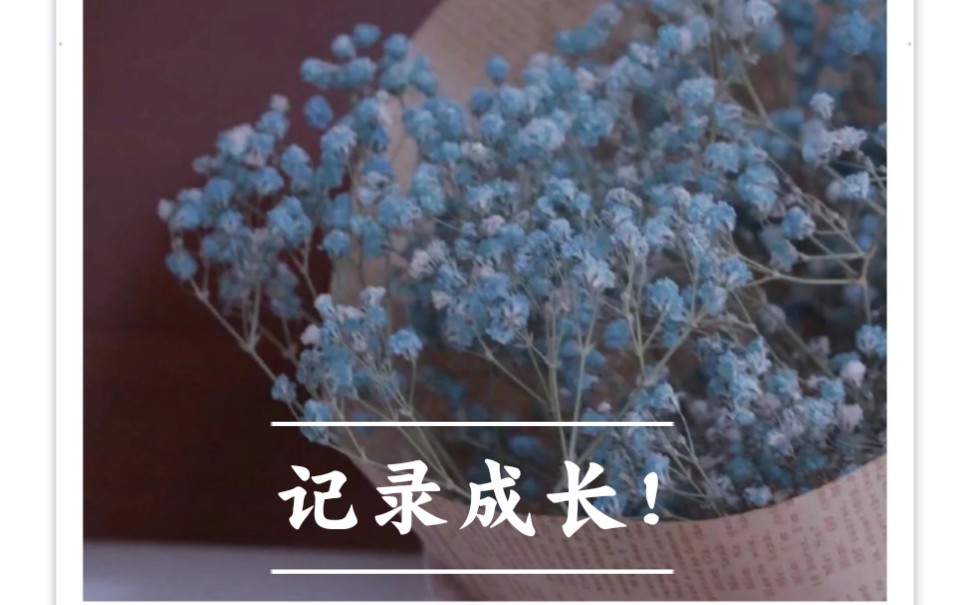 记录公众号成长!拜托关注一下!
