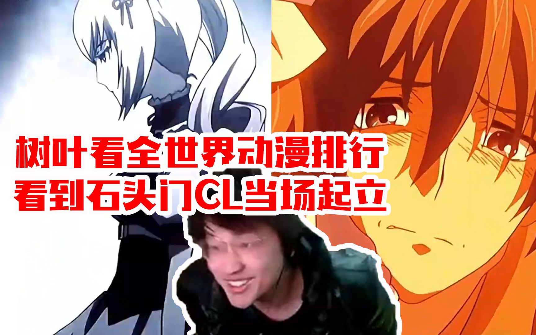 树叶看全世界动漫评分排行榜TOP100,看到石头门和Clannad激动起立!...