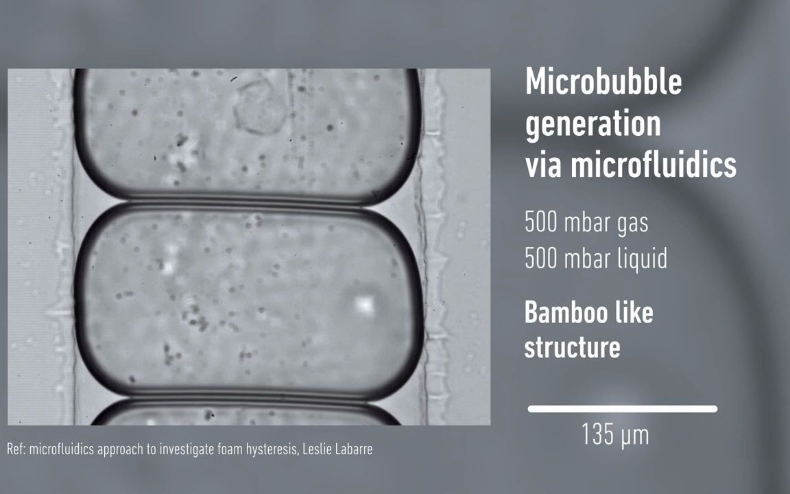 利用微流控芯片结合多通道流量控制器OB1和热式流量计MFS产生微泡