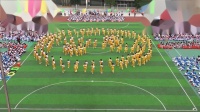 安阳镇第三小学学生运动会开幕式舞蹈《武术操》