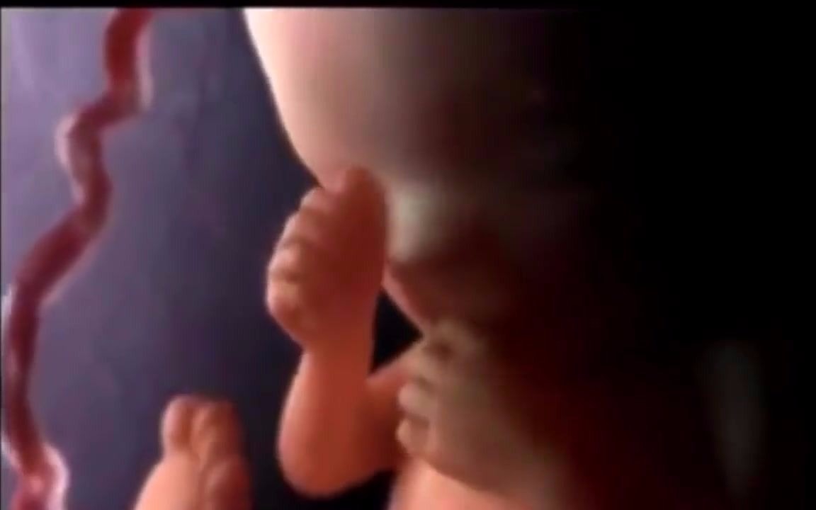 生命的诞生【孕脉健康俄罗斯试管婴儿】