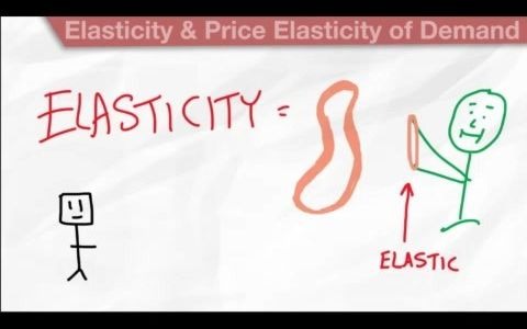 [微观经济学]12.弹性、需求价格弹性