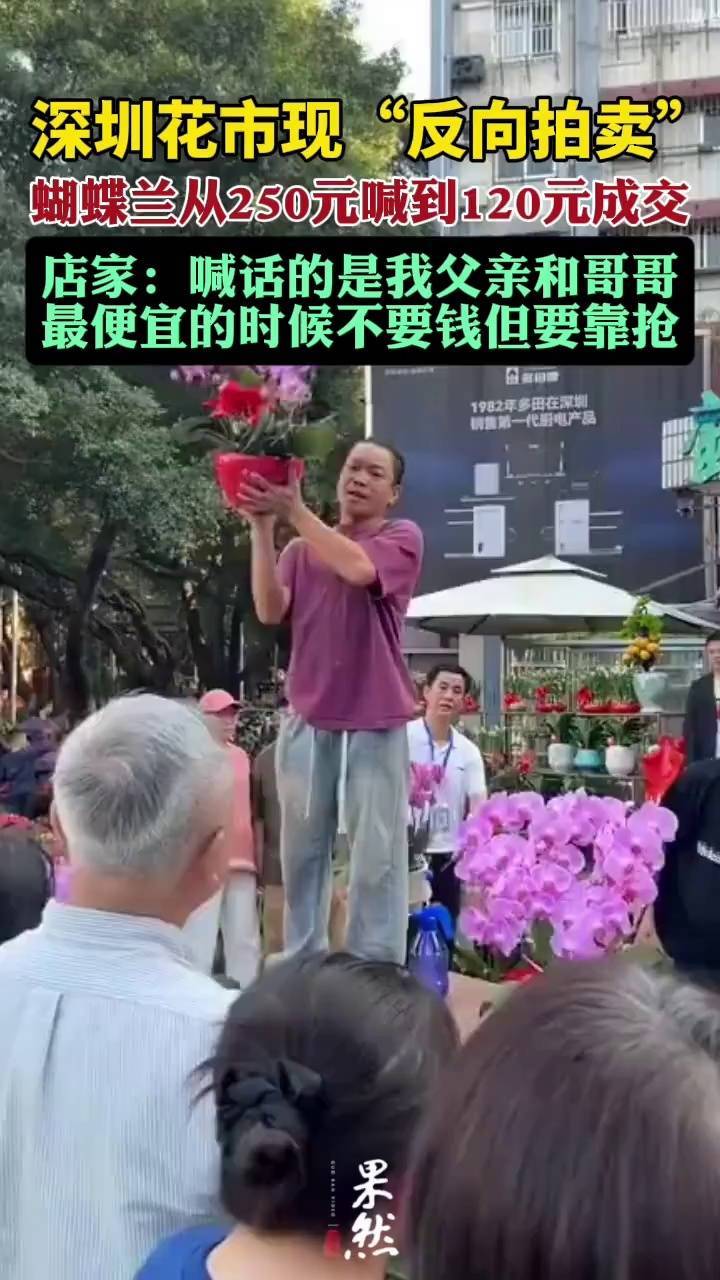 深圳花市惊现反向拍卖,蝴蝶兰价格降至120元引围观