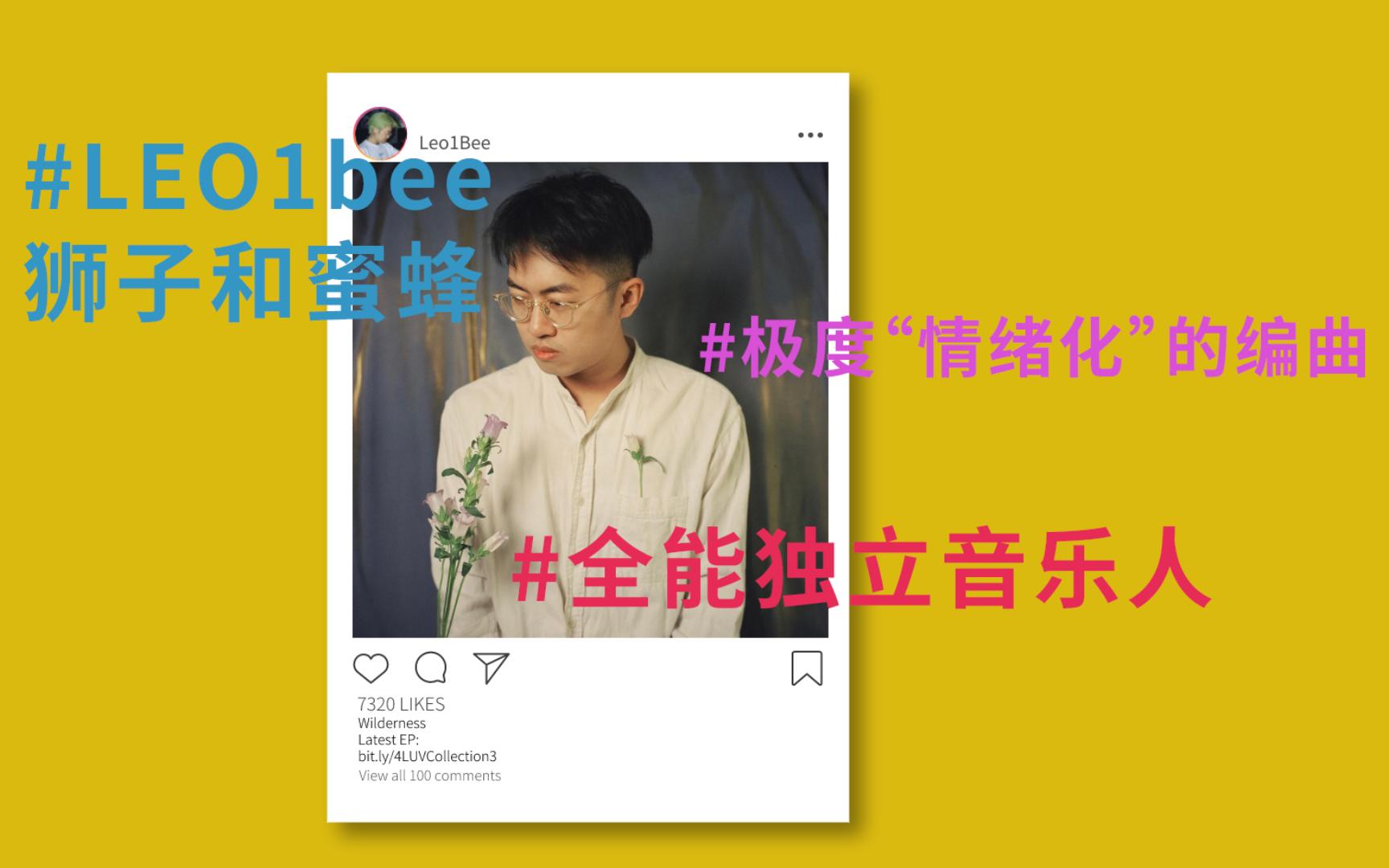 《狮子与蜜蜂,全能独立音乐人Leo1bee》