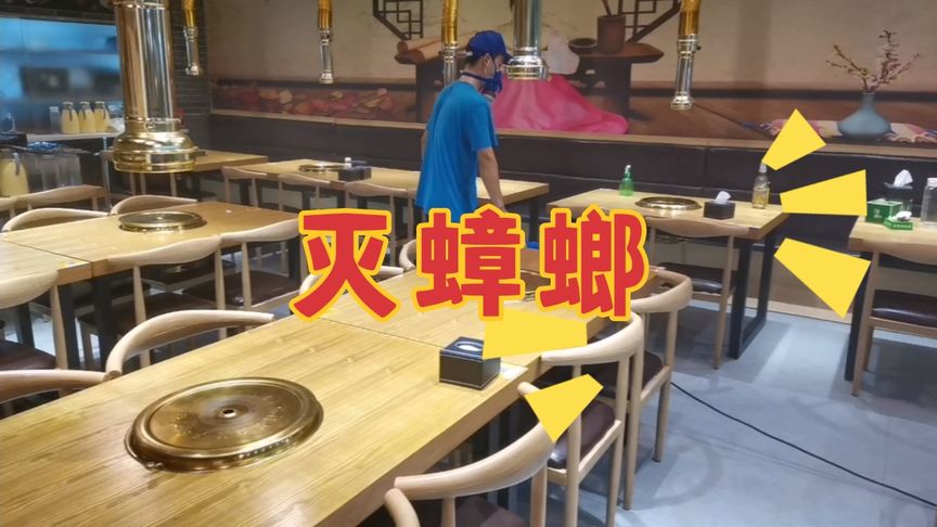 超低机喷雾消杀,灭蟑螂蚊子苍蝇飞虫