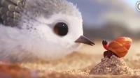 皮克斯获奖动画短片《鹬》, 太治愈了心都化了, 建议码下来在你丧的...