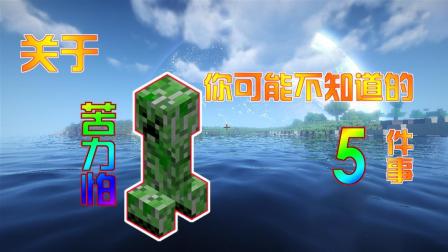 我的世界: 苦力怕你不知道的5件事! 养只猫敢在苦力怕海里喝咖啡!