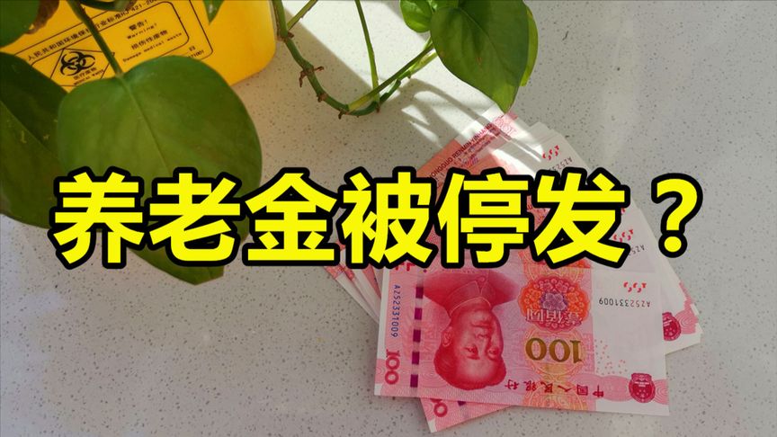 有的退休人员养老金被暂停发放了,这是怎么回事?