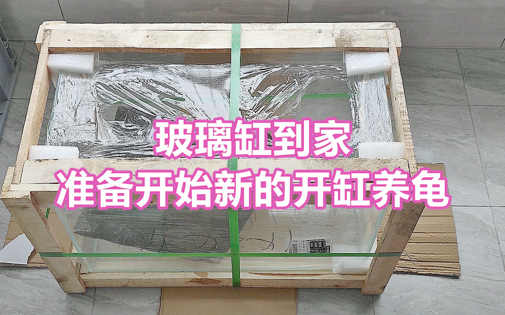 60cm的玻璃缸终于到家,即将开始养水养龟,你们猜出养什么乌龟吗