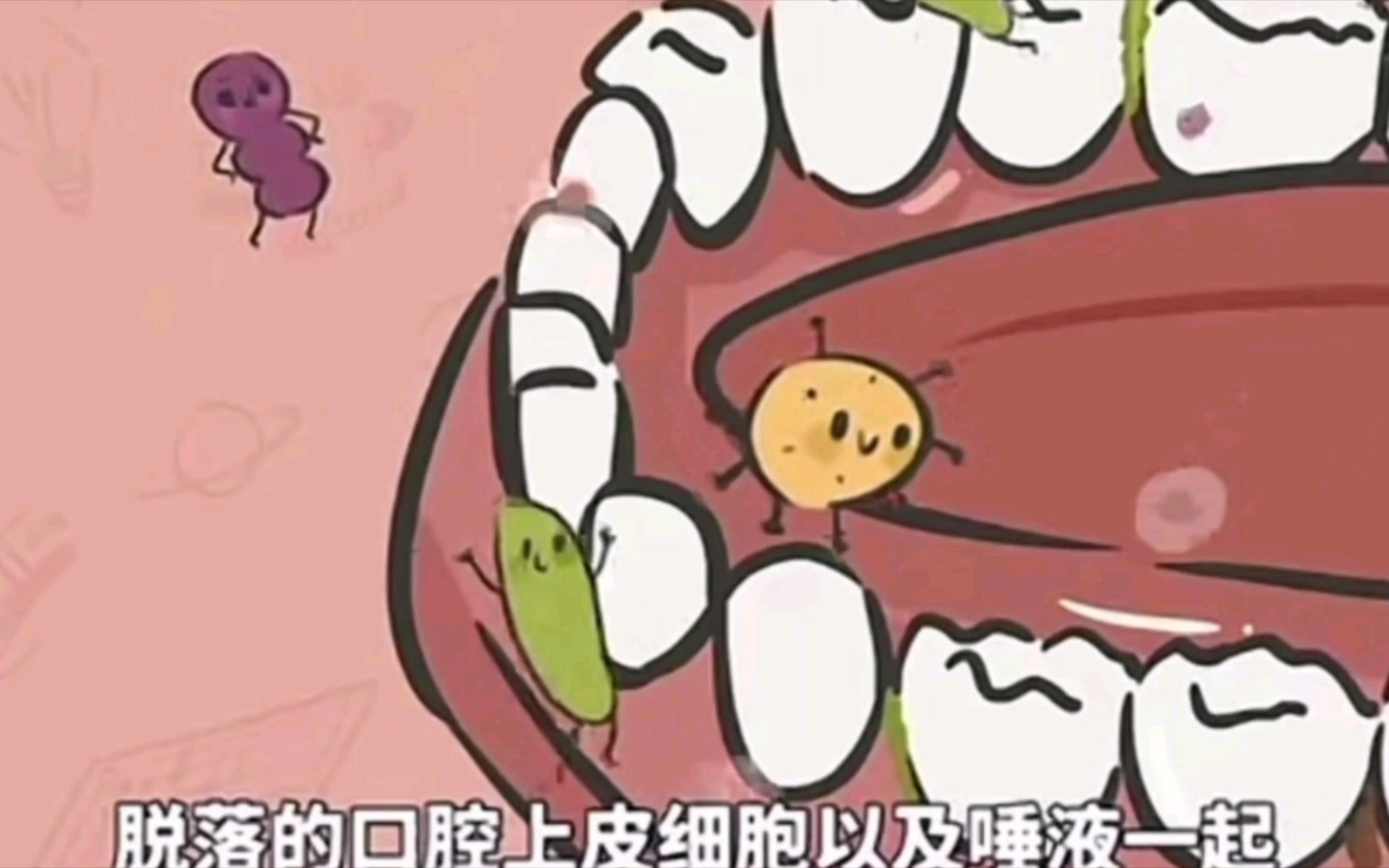 牙齿的组成与龋齿的形成!